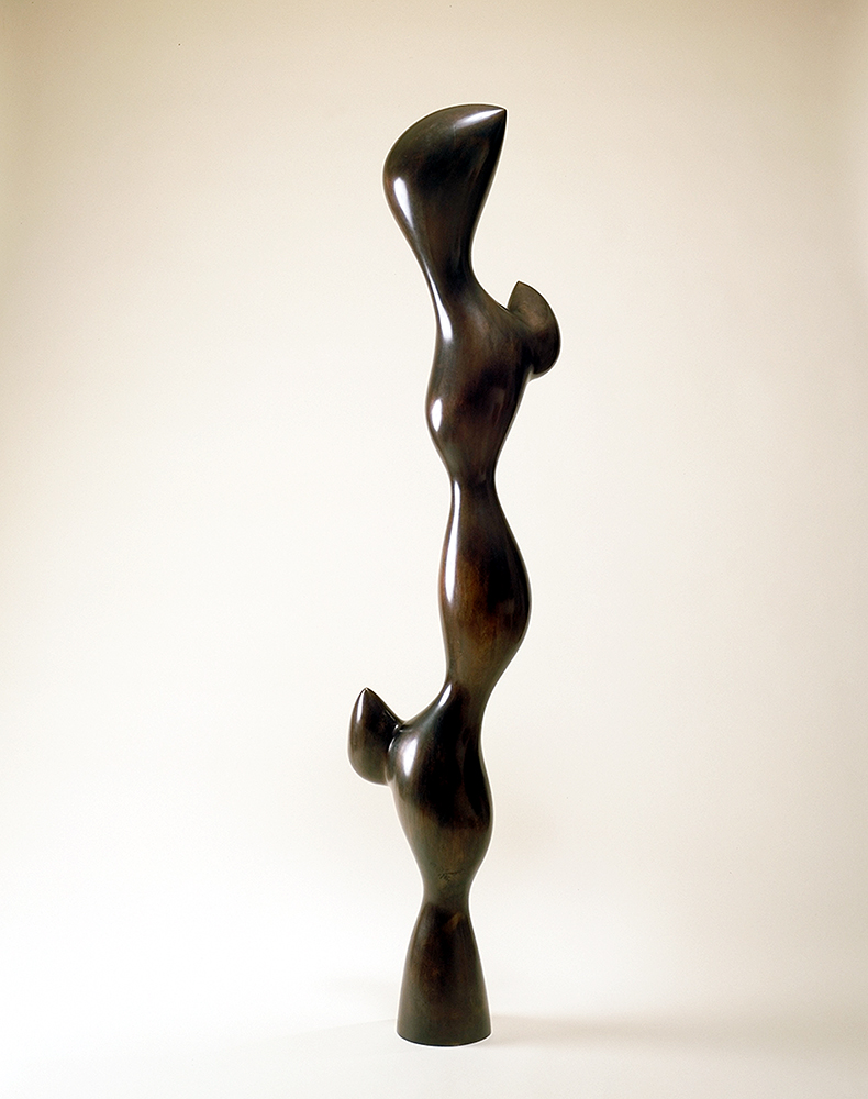 Private Collection, Public Art: Raymond and Patsy Nasher